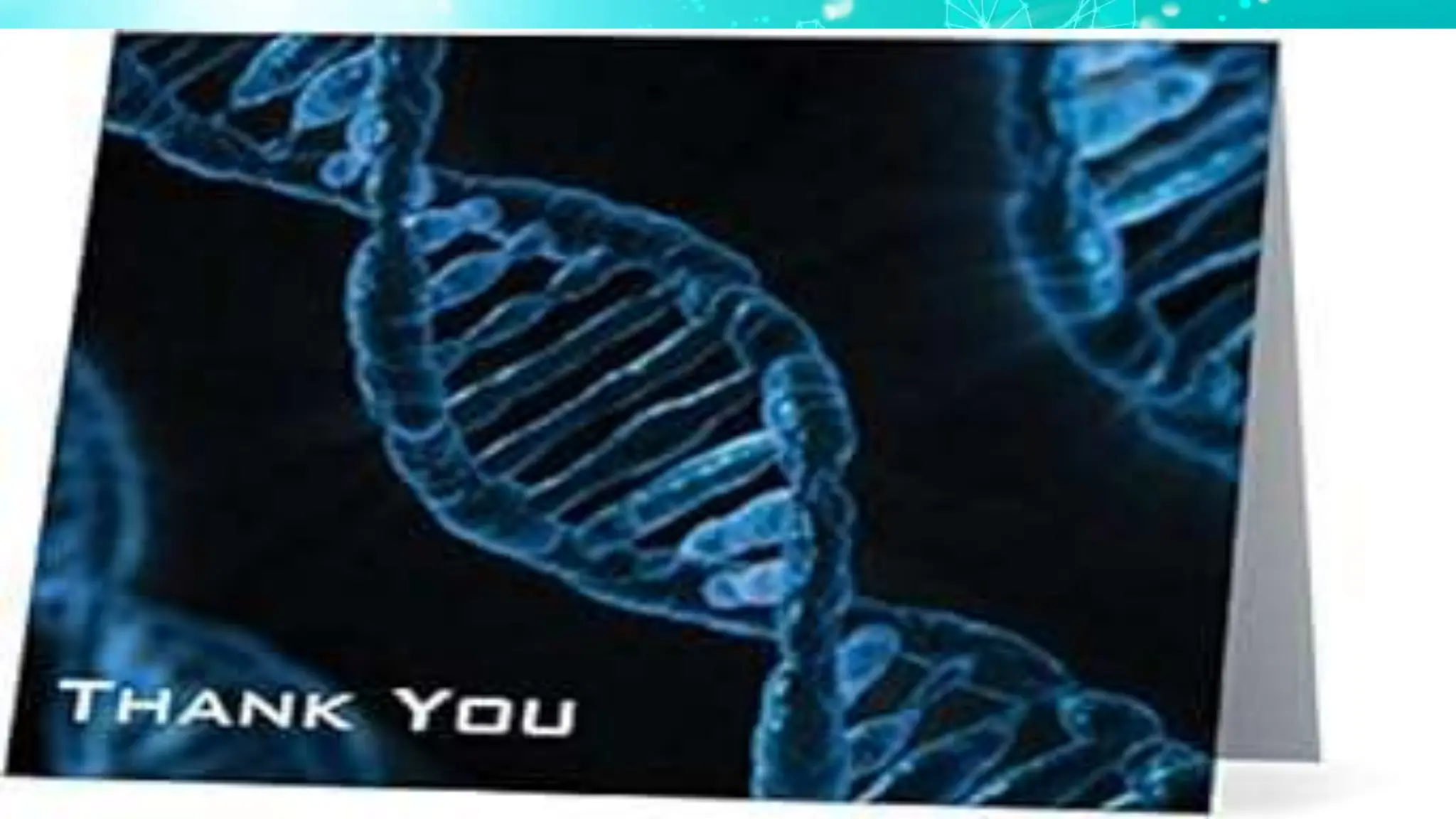 Dna Replication In Prokaryotes Initiation Elongation And Termination Pptx