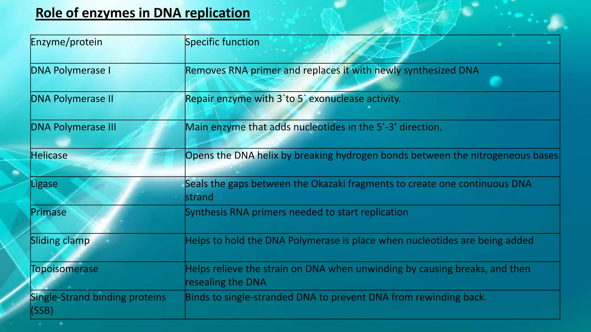 Dna Replication In Prokaryotes Initiation Elongation And Termination