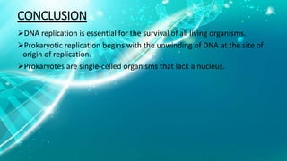 DNA REPLICATION IN PROKARYOTES INITIATION ELONGATION AND TERMINATION | PPTX