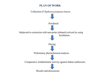 anitha final ppt.pptx