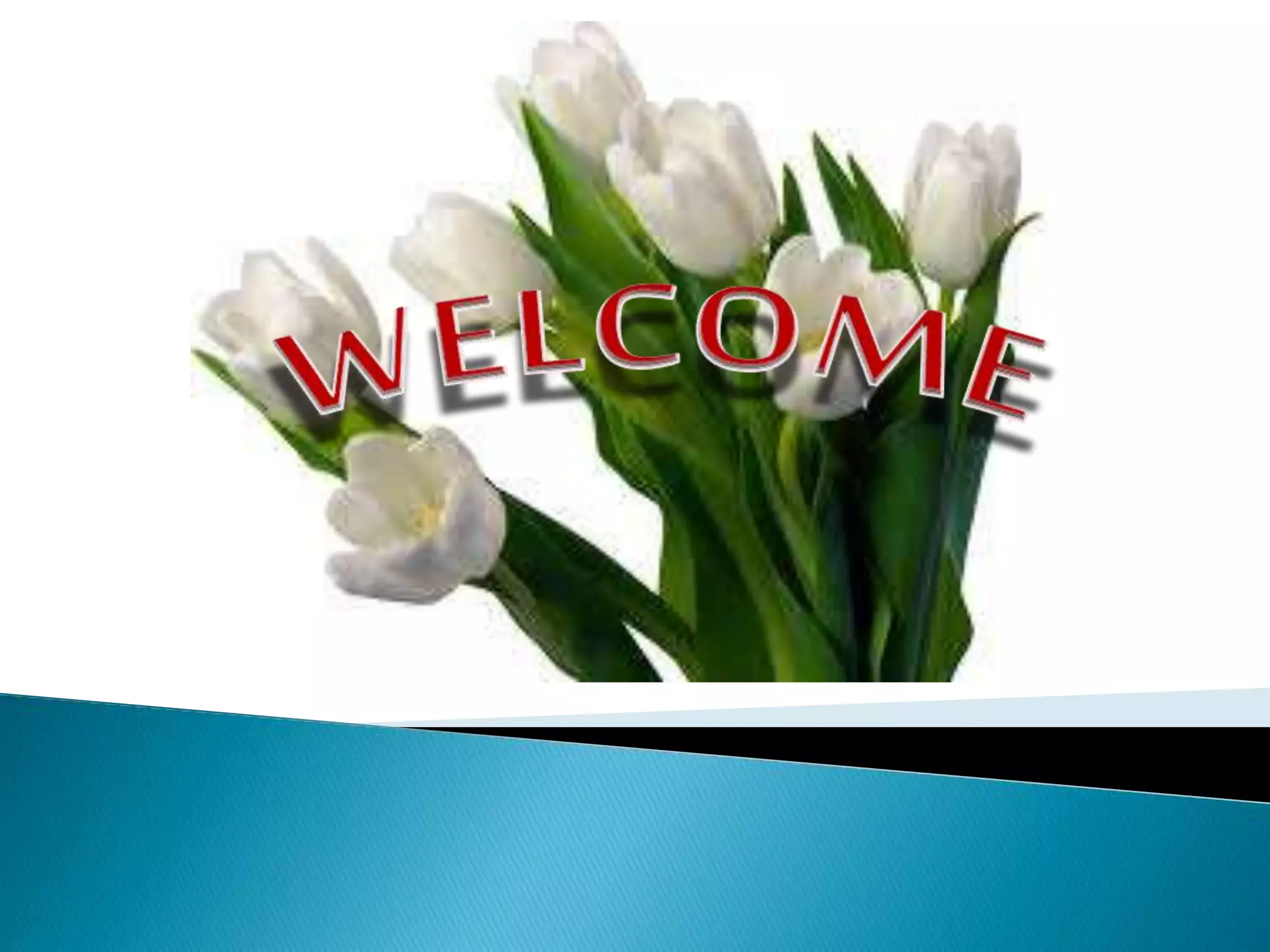 Anitha powerpoint | PPTX