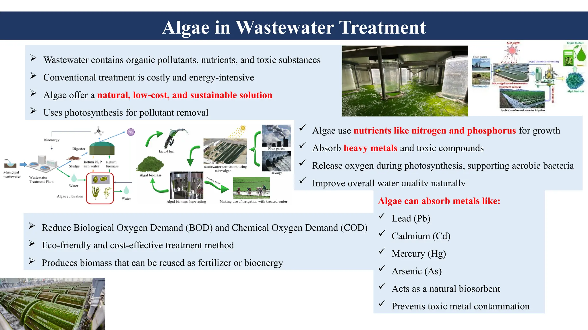 Microbial Biotechnology for a Sustainable Planet.pptx