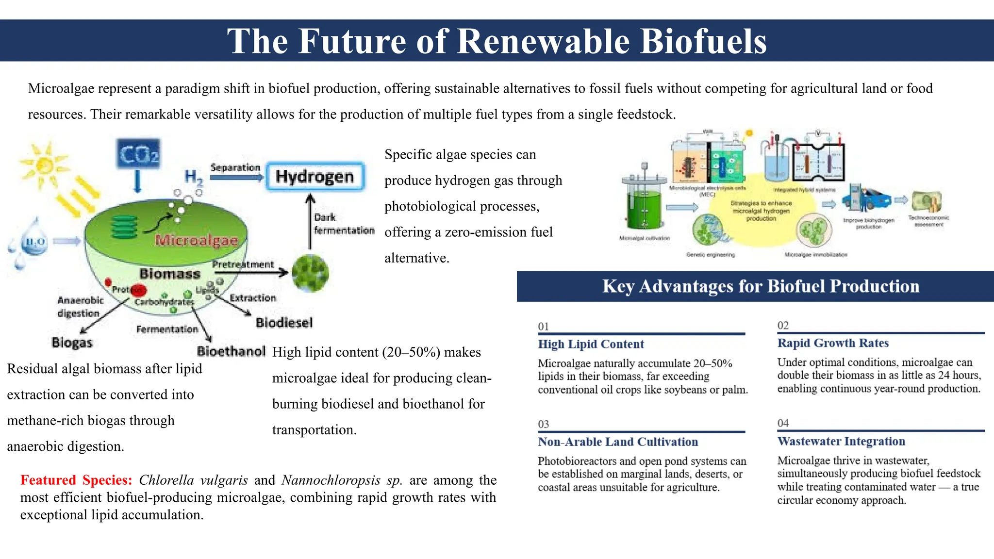 Microbial Biotechnology for a Sustainable Planet.pptx