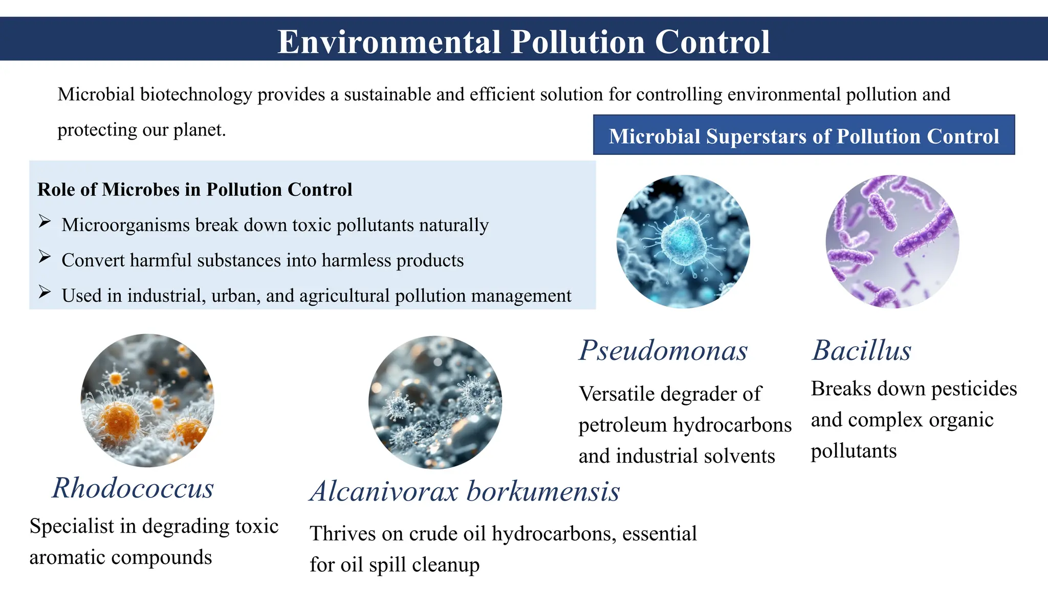 Microbial Biotechnology for a Sustainable Planet.pptx