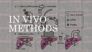 Screening model of antianginal drugs | PPTX