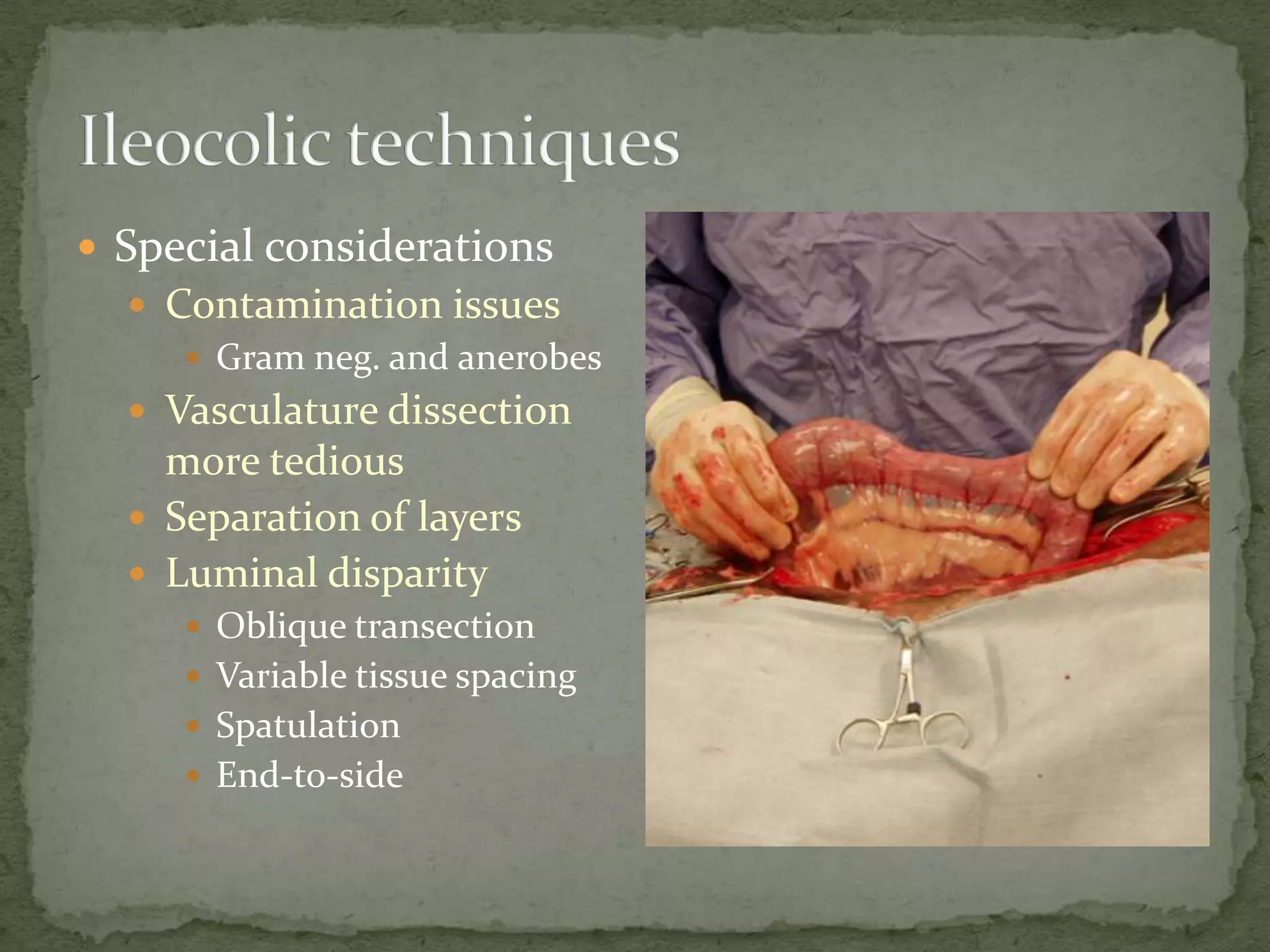 Gastrointestinal Veterinary Talk, Part 2 | PPTX