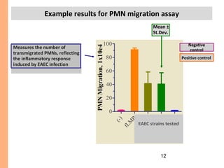 Master Thesis Presentation | PPT