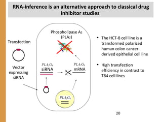 Master Thesis Presentation | PPT