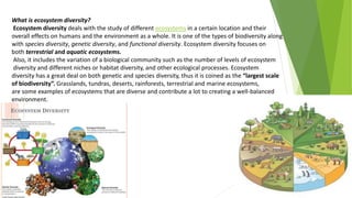 anjali.pptx A ppt on ecosystem diversity and services | PPTX | Geography | Science