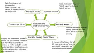 anjali.pptx A ppt on ecosystem diversity and services | PPTX ...
