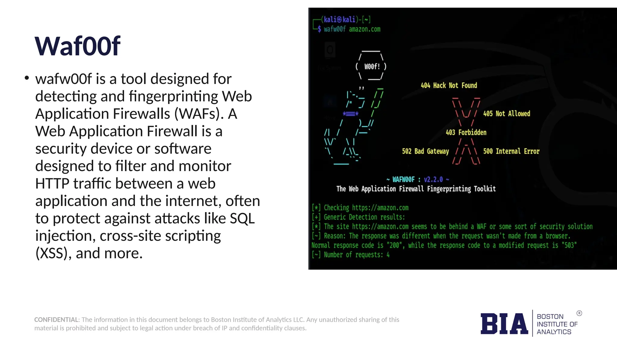Tools and Methods for Effective Reconnaissance: A Comprehensive Report ...