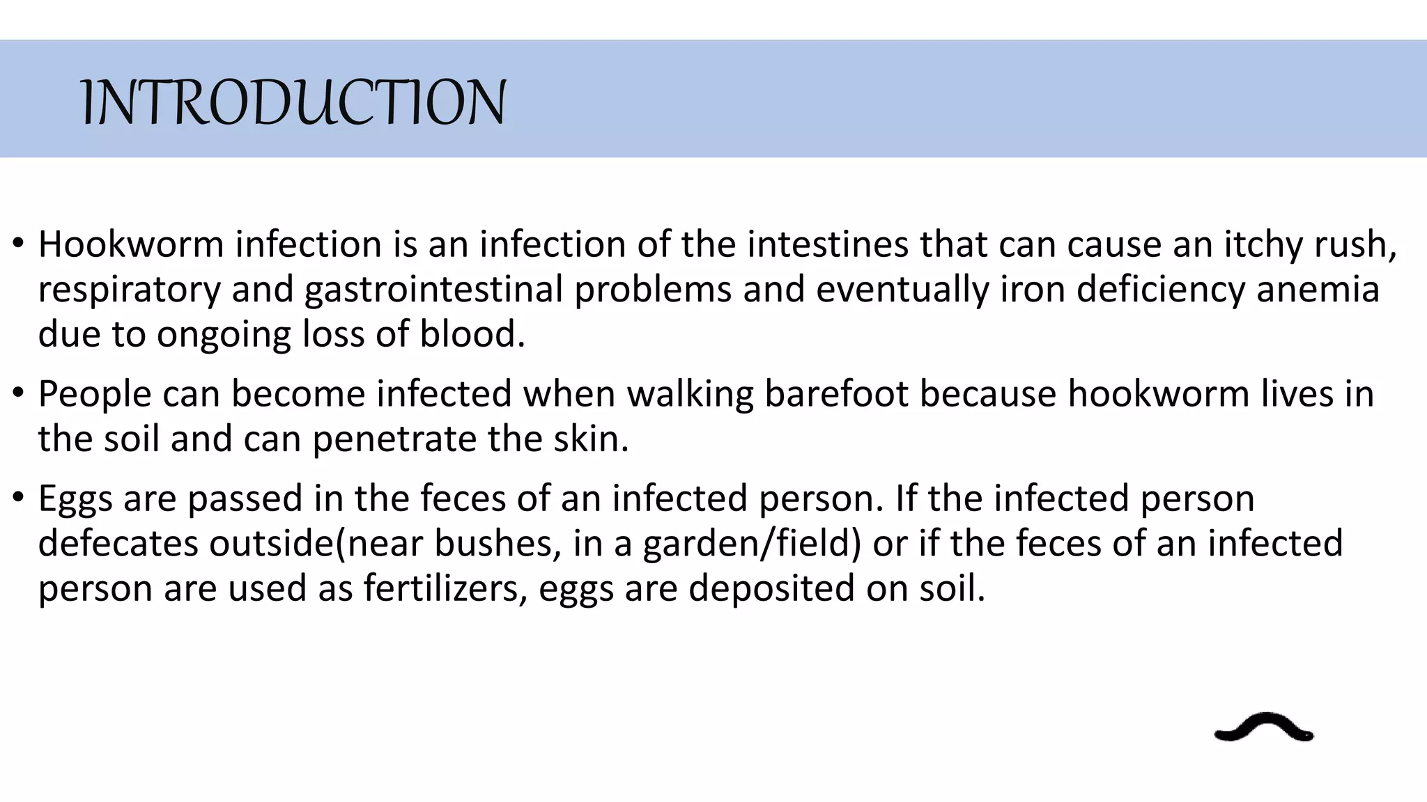 hookworm infection | PPTX