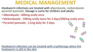 hookworm infection | PPTX