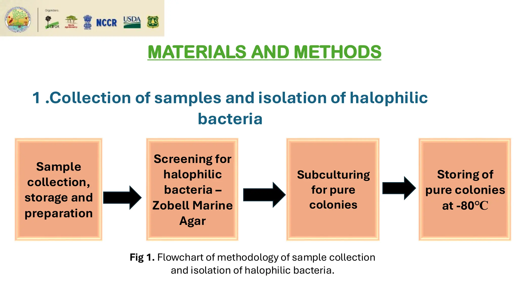 Isolation and Identification of Nitrilase and Laccase Producing Halophilic Bacteria from ...