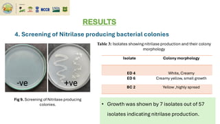 Isolation and Identification of Nitrilase and Laccase Producing Halophilic Bacteria from ...