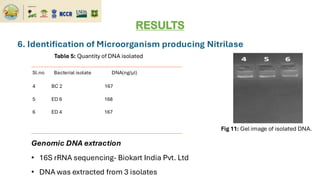 Isolation and Identification of Nitrilase and Laccase Producing ...