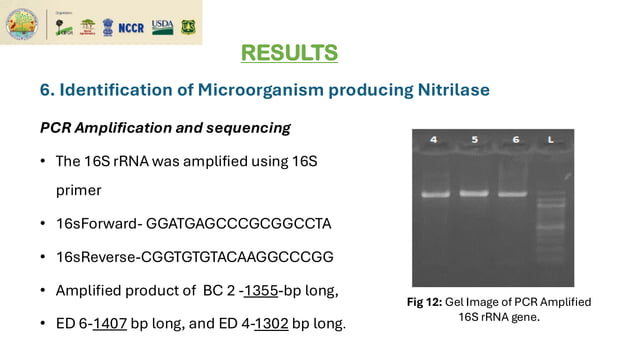 Isolation and Identification of Nitrilase and Laccase Producing ...