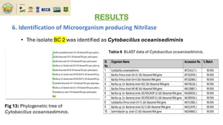 Isolation and Identification of Nitrilase and Laccase Producing ...