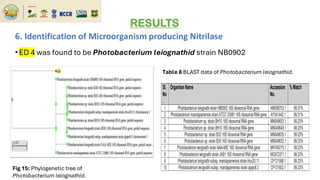 Isolation and Identification of Nitrilase and Laccase Producing ...