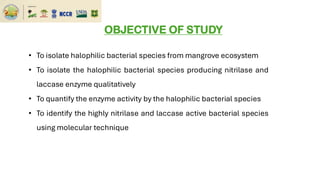 Isolation and Identification of Nitrilase and Laccase Producing ...