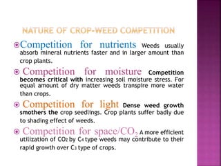 crop weed competition - by Anjali (IGKV RAIPUR, C.G) | PPTX