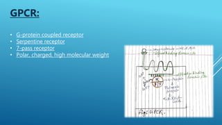 pharmacodynamics with diagram in simple | PPTX
