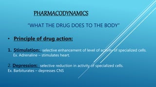 pharmacodynamics with diagram in simple | PPTX