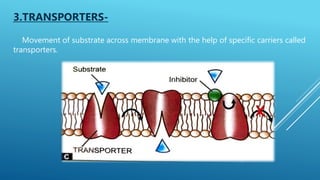 pharmacodynamics with diagram in simple | PPTX