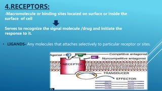 pharmacodynamics with diagram in simple | PPTX