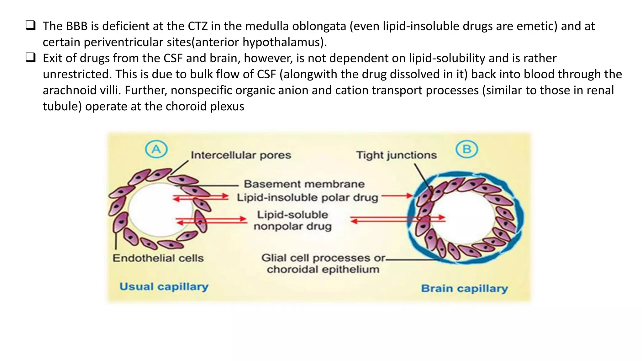 ppt on pharmacokinetics pharmacolocy | PPTX