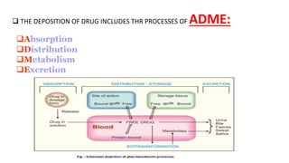 ppt on pharmacokinetics pharmacolocy | PPT