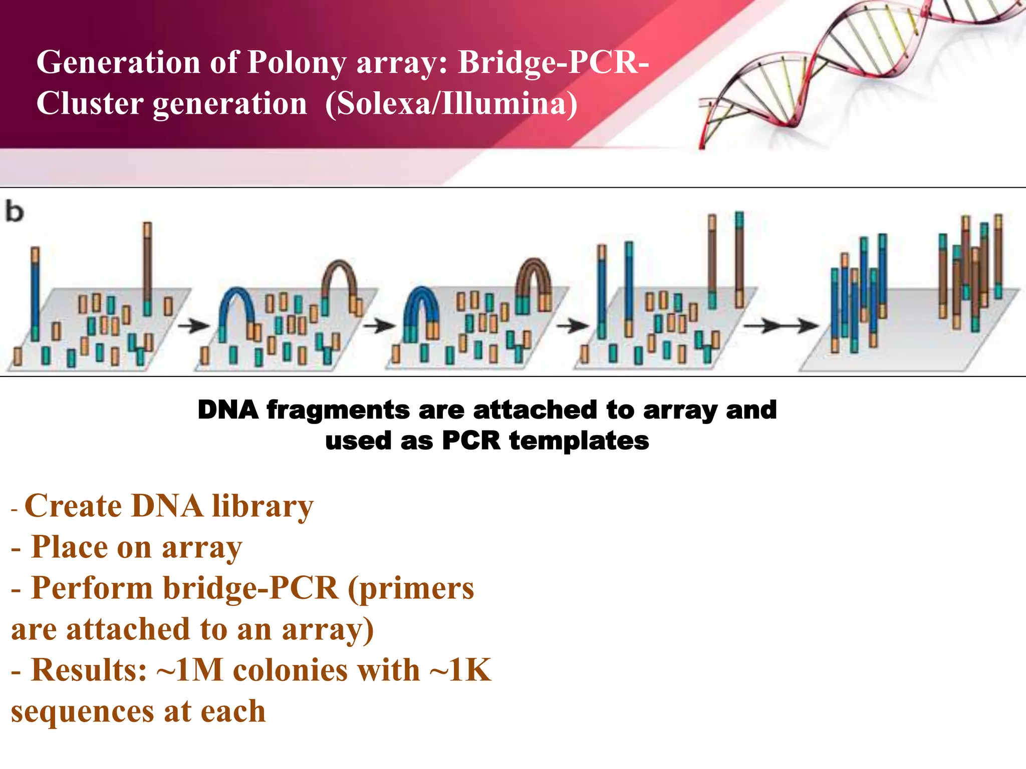 Next generation sequencing technologies for crop improvement | PPTX