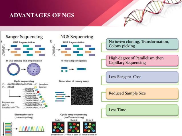 Next generation sequencing technologies for crop improvement | PPTX ...