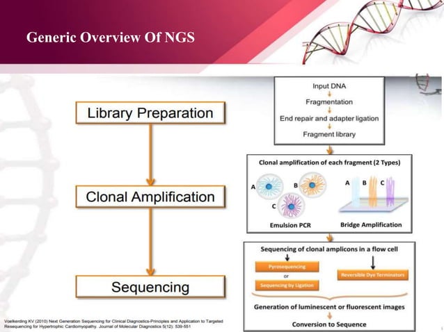 Next generation sequencing technologies for crop improvement | PPTX ...
