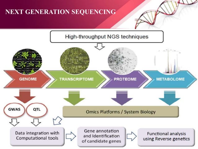Next generation sequencing technologies for crop improvement | PPTX | Biological Sciences | Science
