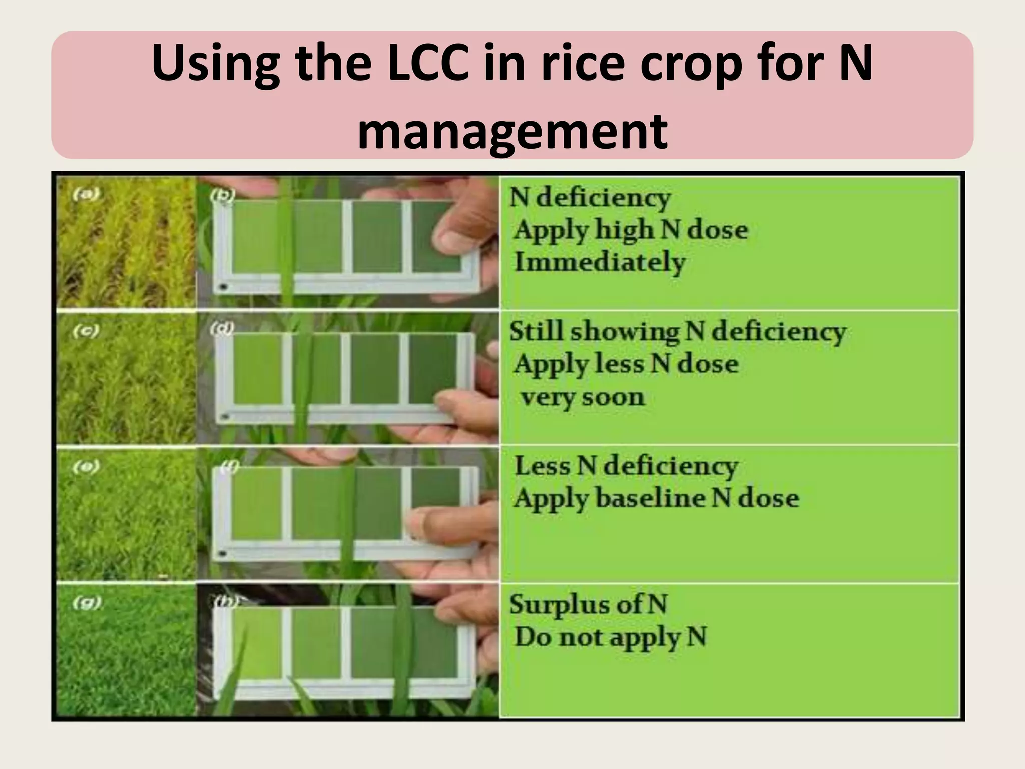 Site Specific nutrient Management for Precision Agriculture - Anjali ...