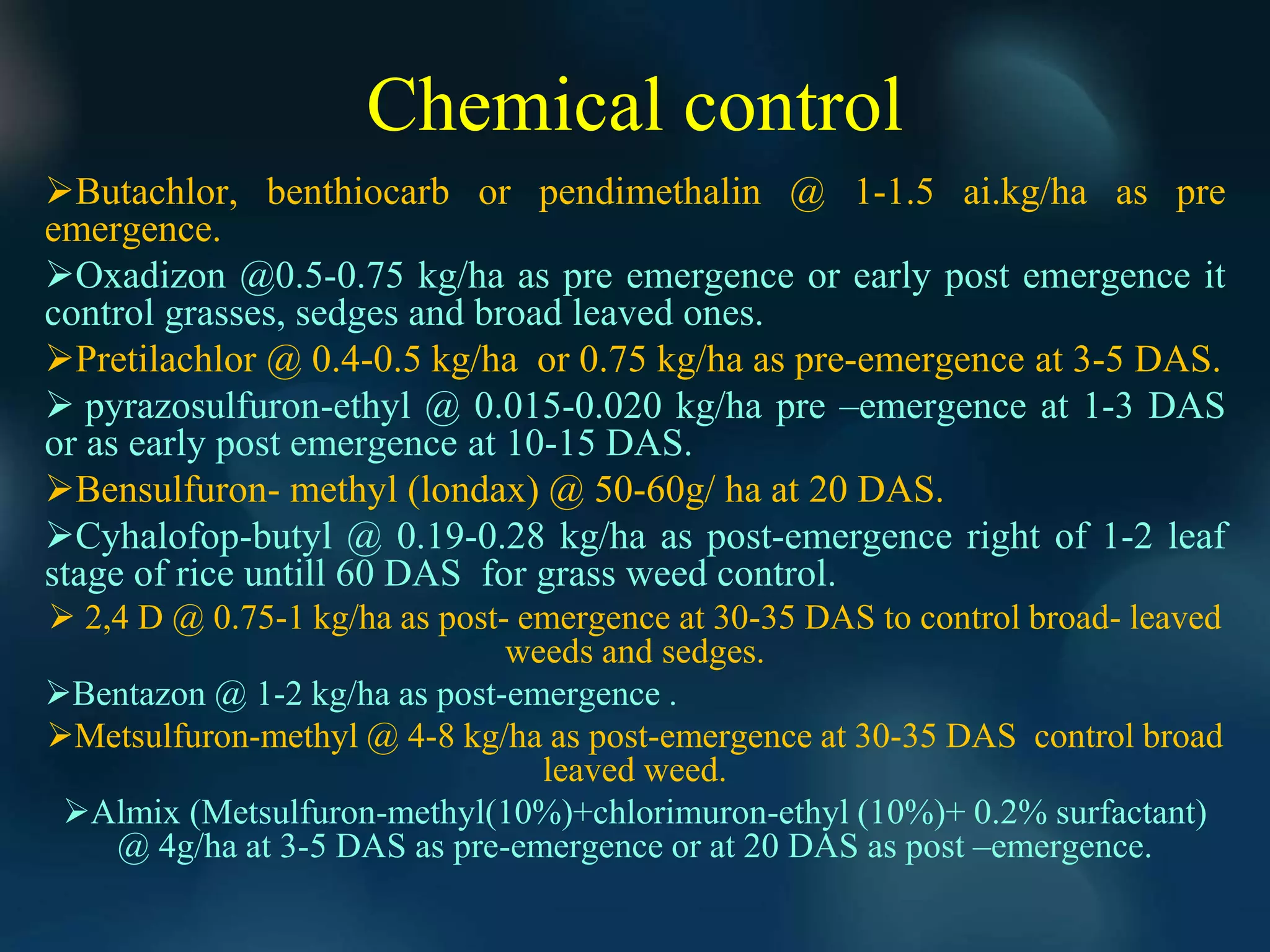 Weed Management in Direct Seeded Rice - By Anjali Patel mam (IGKV ...