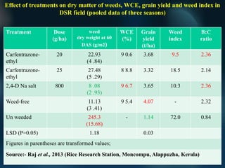 Weed Management in Direct Seeded Rice - By Anjali Patel mam (IGKV ...