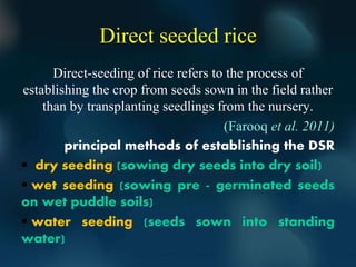 Weed Management in Direct Seeded Rice - By Anjali Patel mam (IGKV ...
