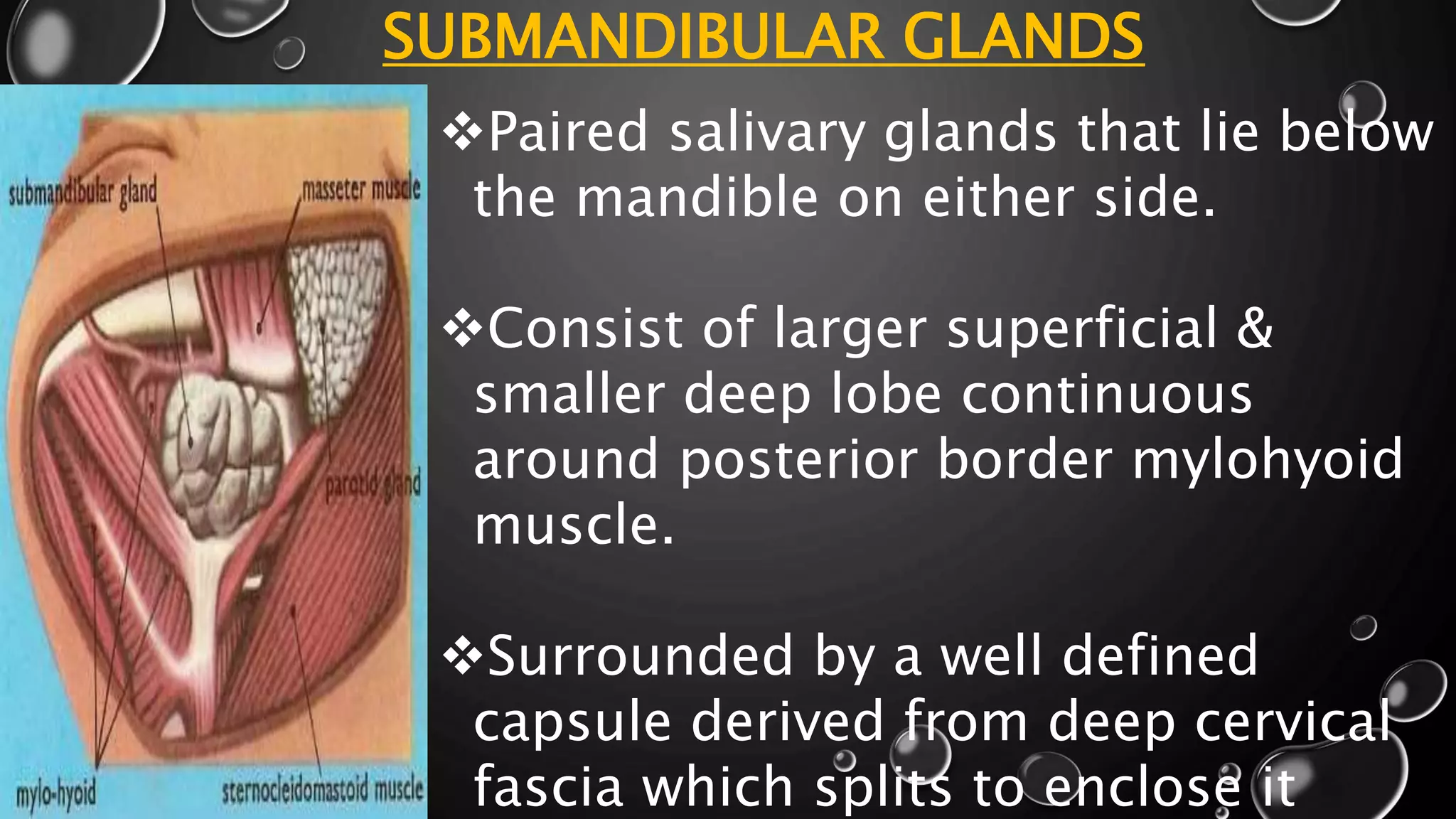 DIFFERENTIAL DIAGNOSIS OF SUBMANDIBULAR SWELLINGS FOR UGs | PPTX