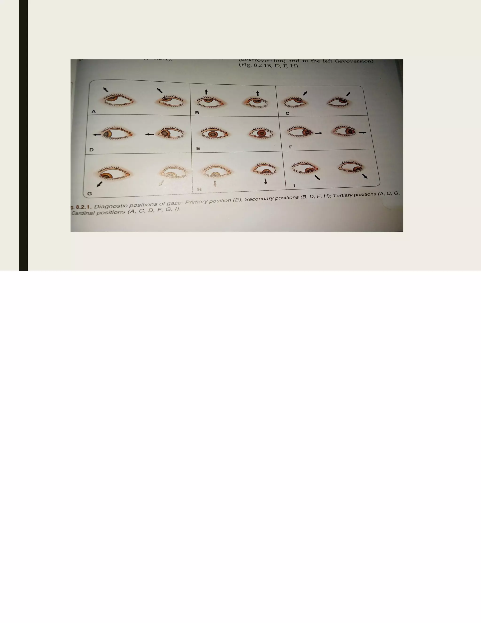 Position of gaze | PDF