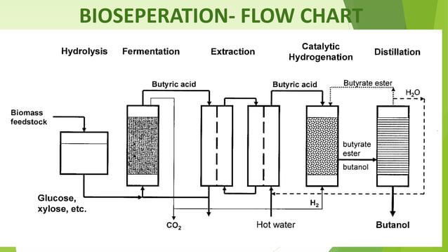 BIOBUTANOL- AN ADVANCED BIOFUEL | PPTX