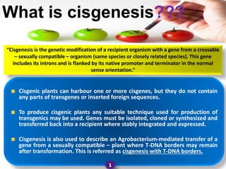 CISGENICS | PPTX
