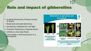 Gibberellins : Unveiling the Power of Gibberellins, Regulators of Plant ...