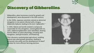 Gibberellins : Unveiling the Power of Gibberellins, Regulators of Plant ...