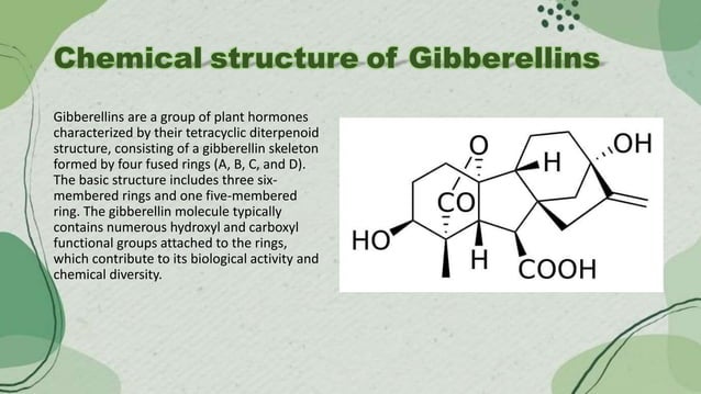 Gibberellins : Unveiling the Power of Gibberellins, Regulators of Plant ...