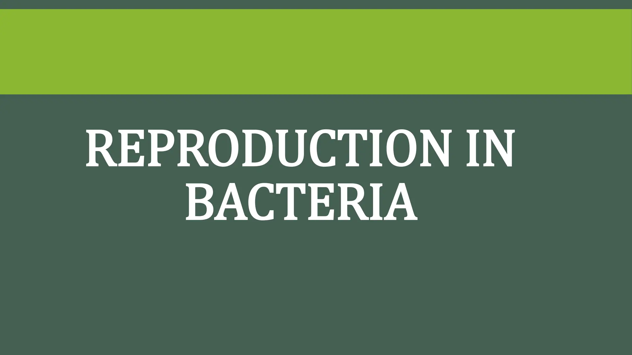 Reproduction in Bacteria : Understanding the Vital Processes of ...
