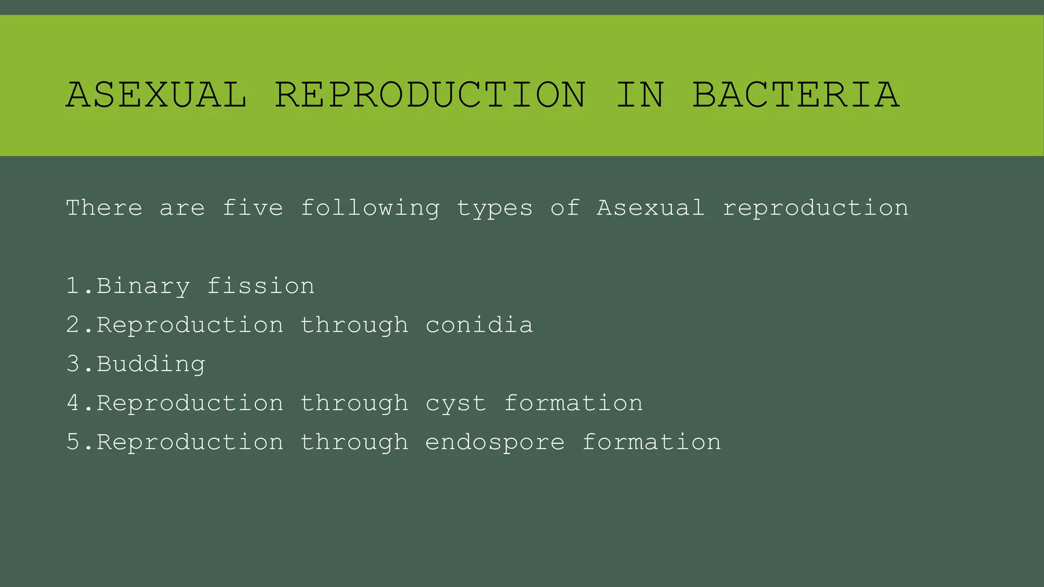 Reproduction in Bacteria : Understanding the Vital Processes of ...