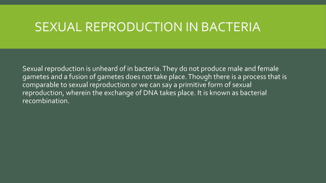 Reproduction in Bacteria : Understanding the Vital Processes of ...