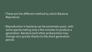 Reproduction in Bacteria : Understanding the Vital Processes of ...